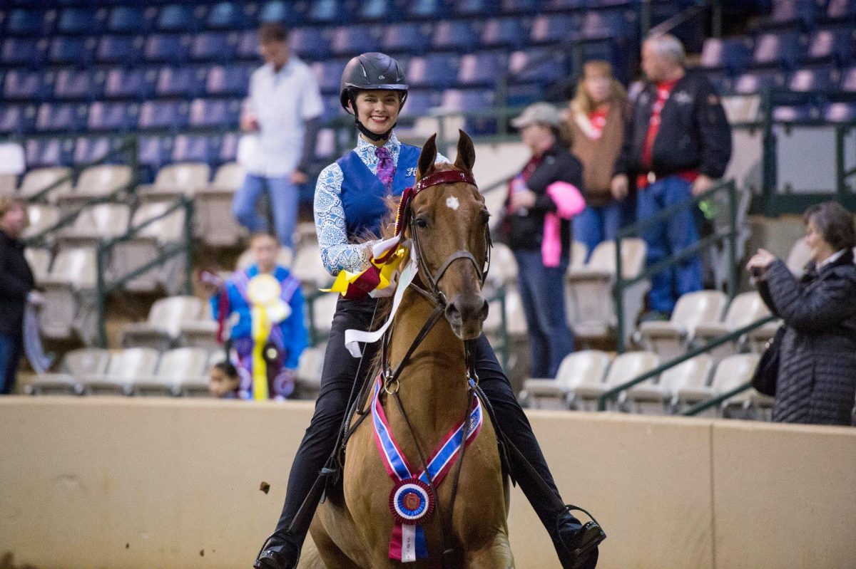 Horse Show Services – Louisville Equestrian Center