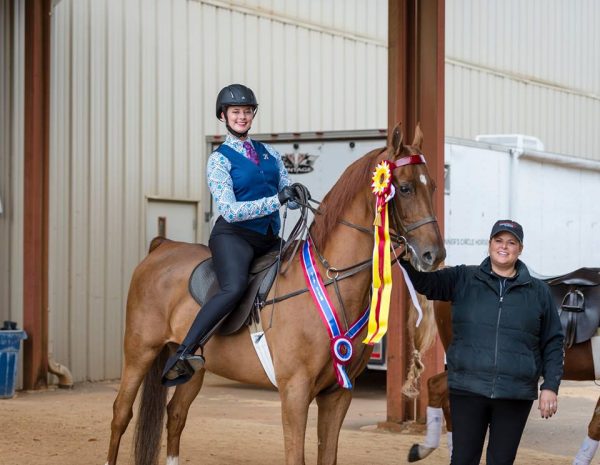 Horse Show Services – Louisville Equestrian Center